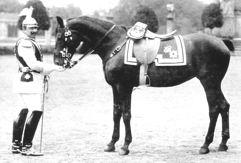 Kaiser Wilhelm II and a horse | MATTHEW'S ISLAND