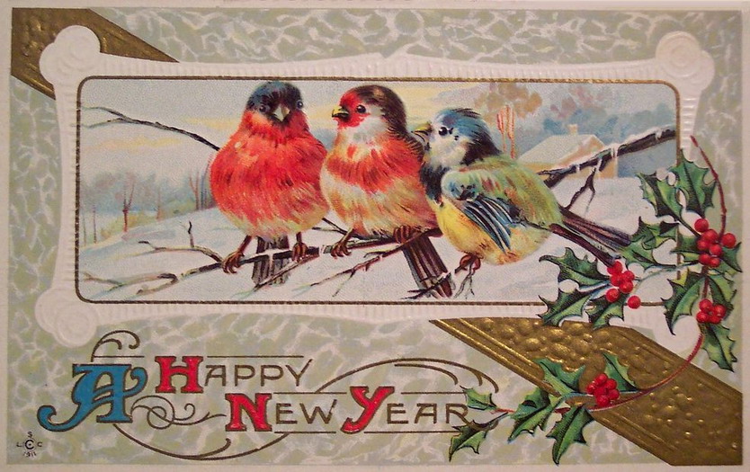 new year 552 | MATTHEW'S ISLAND