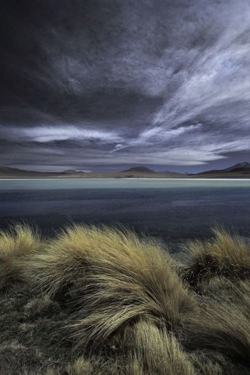 Shoreside | MATTHEW'S ISLAND