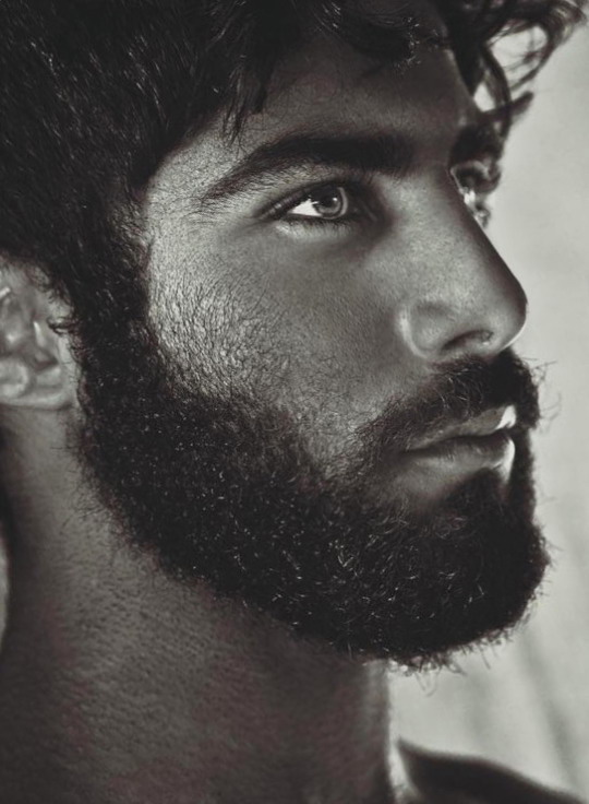 MODELS WITH BEARDS (Click on this title to go to a gallery of 14 photos ...