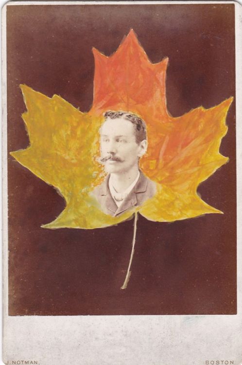 Vintage Stache | MATTHEW'S ISLAND