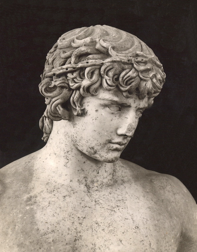 Antinous | MATTHEW'S ISLAND