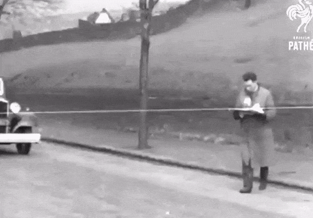 Pedestrian catchers | MATTHEW'S ISLAND