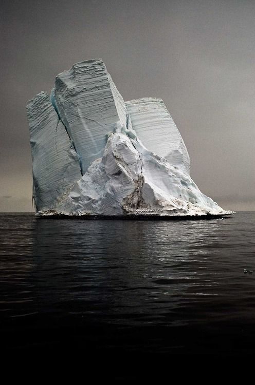 Iceberg | MATTHEW'S ISLAND