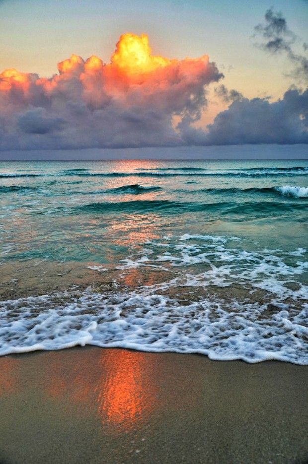 Beach | MATTHEW'S ISLAND