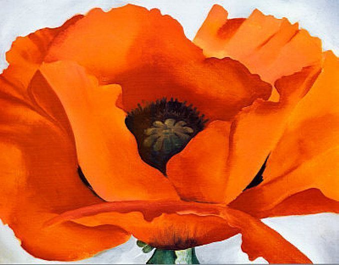 Poppy by Georgia O’Keefe | MATTHEW'S ISLAND