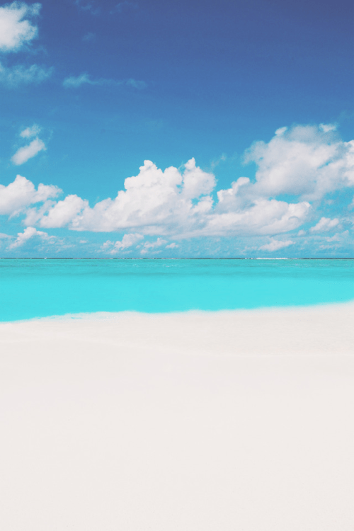 Beach | MATTHEW'S ISLAND