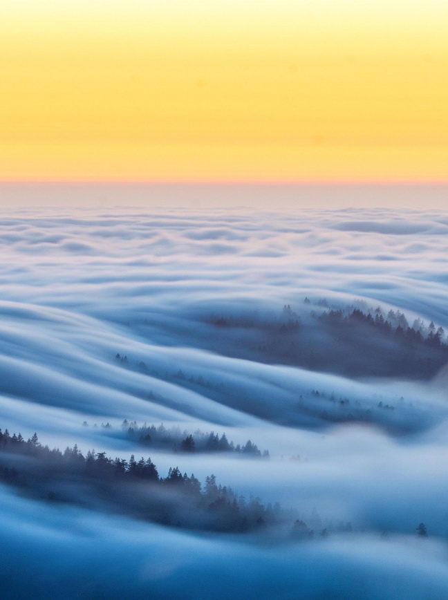 Fog in northern California | MATTHEW'S ISLAND