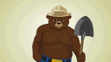 Only YOU can prevent forest fires | MATTHEW'S ISLAND