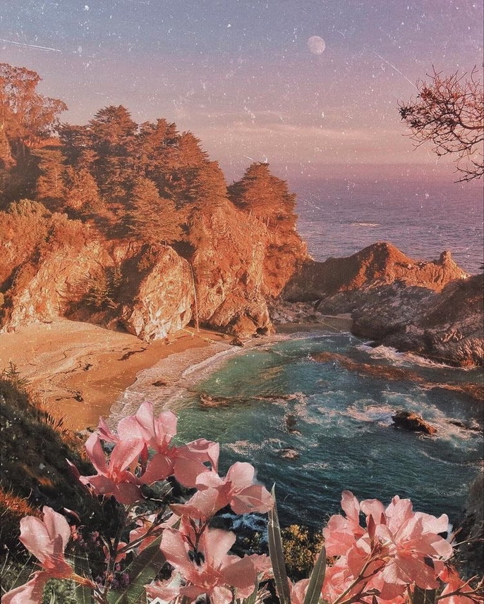 Beach | MATTHEW'S ISLAND