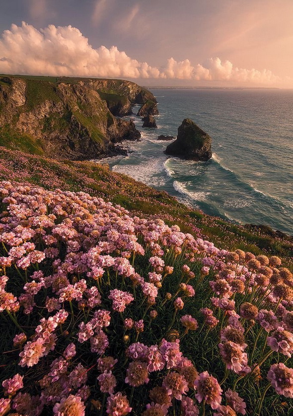 Cornwall, England | MATTHEW'S ISLAND
