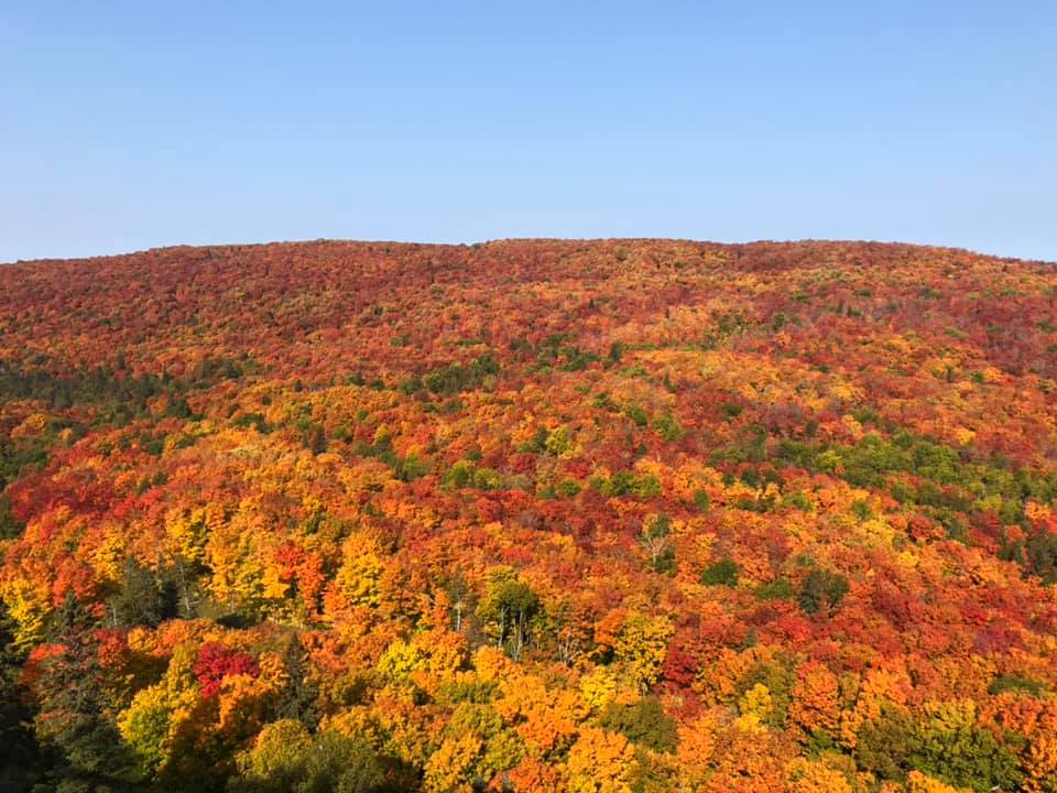 Autumn foliage in Minnesota this week, photo by Kate Stenzel | MATTHEW ...