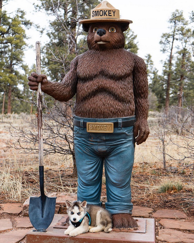 Smokey the Bear | MATTHEW'S ISLAND