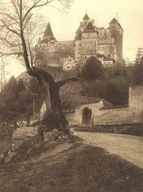Count Dracula’s castle, Transylvania | MATTHEW'S ISLAND