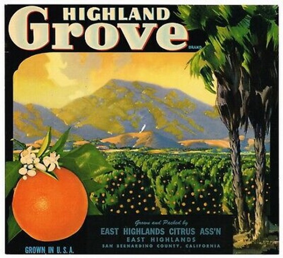 California citrus labels, 1930s | MATTHEW'S ISLAND