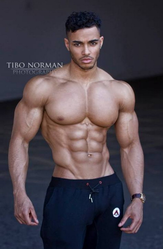 MUSCULAR MODELS (Click on this title to go to a gallery of 16 photos ...