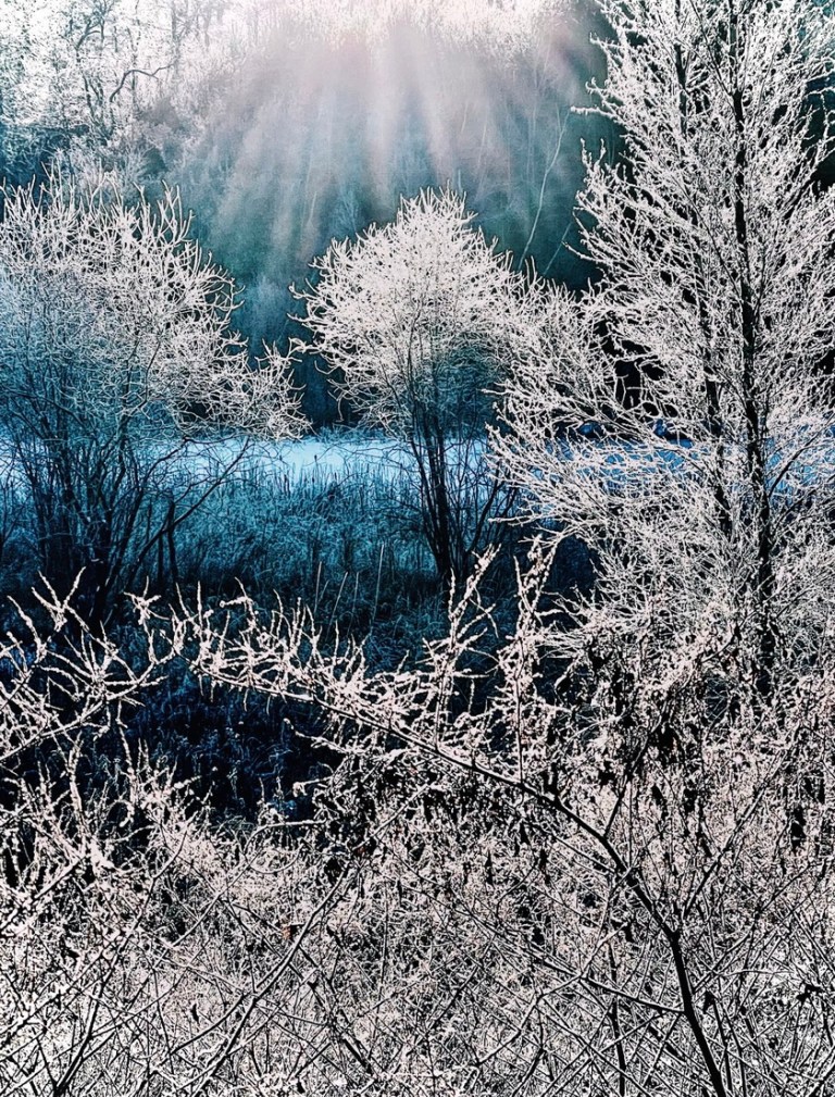 After an ice storm, photo by Jeff Sharlet | MATTHEW'S ISLAND