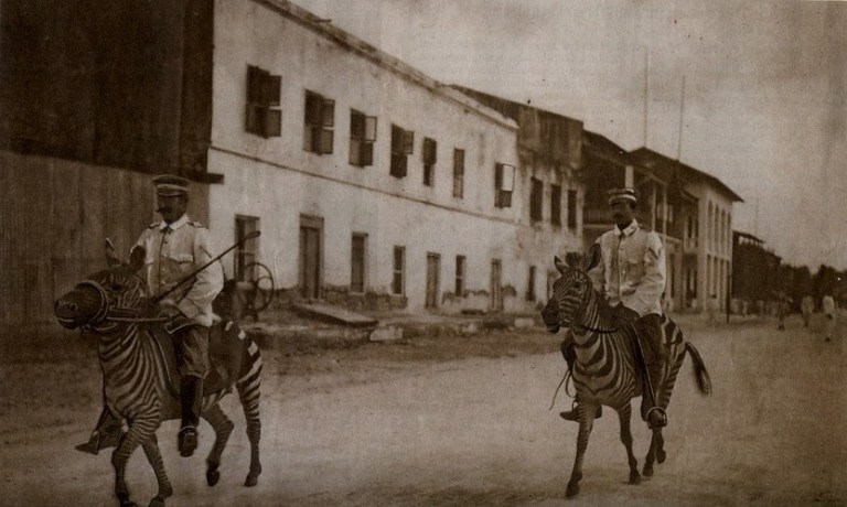 Zebra cavalry in German East Africa (Tanzania), 1911 | MATTHEW'S ISLAND