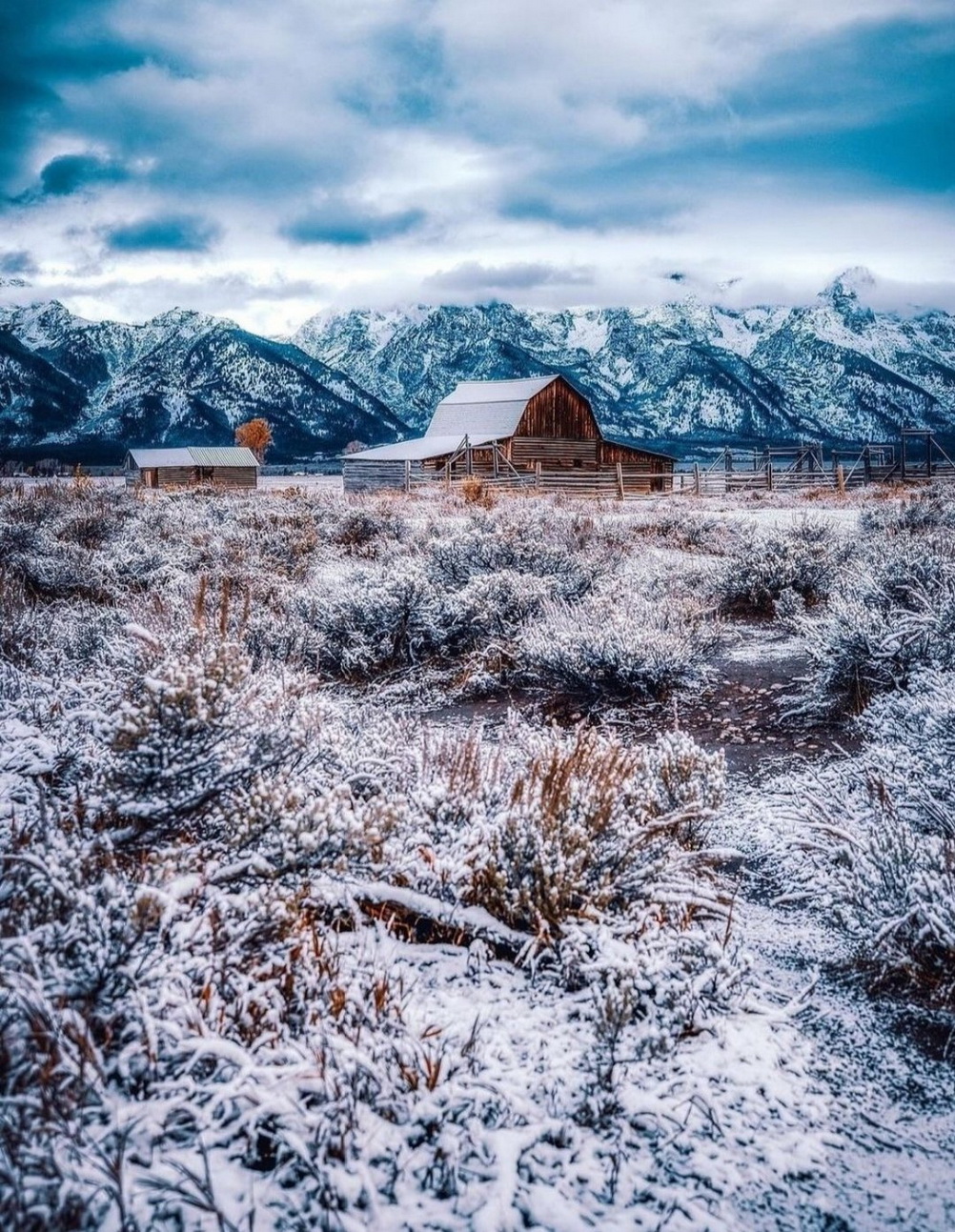 Winter on a ranch | MATTHEW'S ISLAND